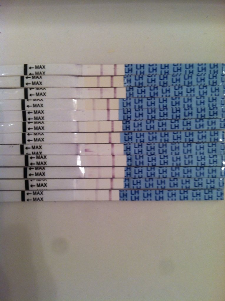 OPK as HPT progression pics | BabyCenter OPK as HPT progression pics | BabyCenter