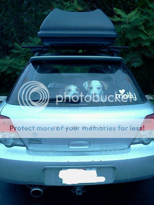 Thule Weekender roof box $200 OBO | VW Vortex - Volkswagen Forum