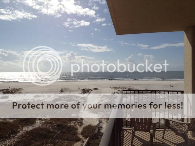 Phoenix VIII #406 Orange Beach, AL