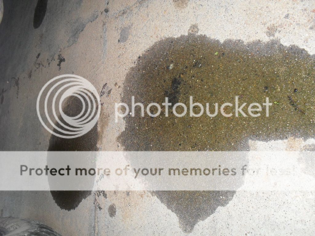 Auto's post trip damage: Please Diagnose | Patrol 4x4 - Nissan Patrol Forum